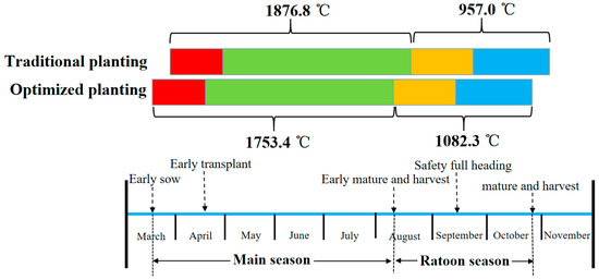 Ratoon Rice System of Production: A Rapid Growth Pattern of Multiple ...