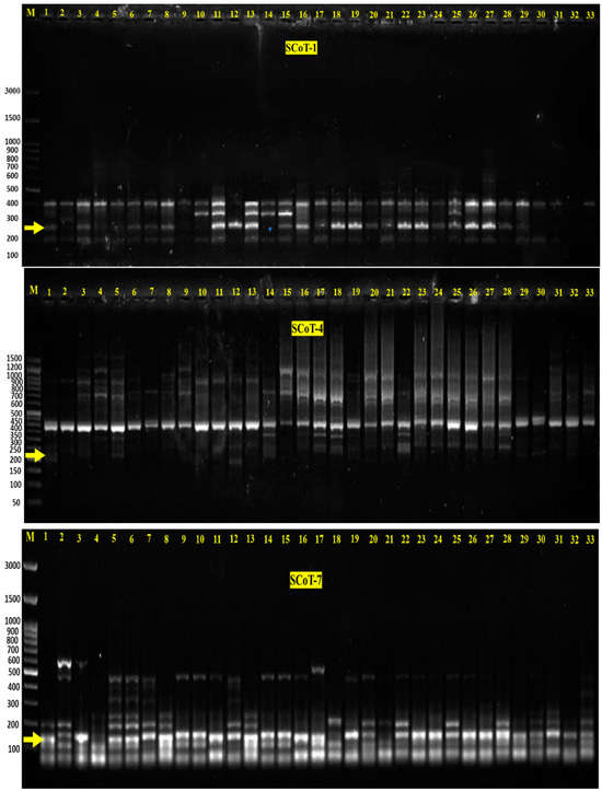 The Potential Genetic Effect for Yield and Foliar Disease Resistance in ...