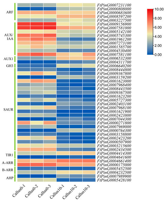 Evaluating Tartary Buckwheat Genotypes with High Callus Induction Rates ...