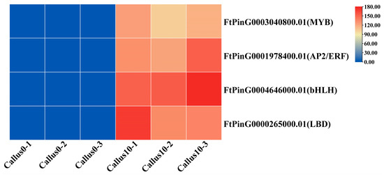 Evaluating Tartary Buckwheat Genotypes with High Callus Induction Rates ...