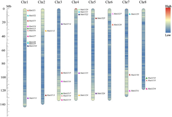 Genome-Wide Identification of the Trihelix Transcription Factor Family ...