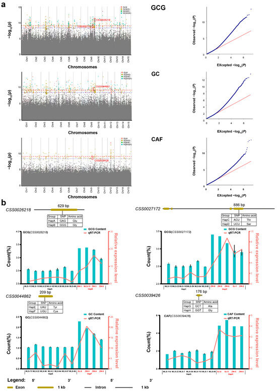 Genome-Wide Association Studies of Biluochun Tea Plant Populations in ...