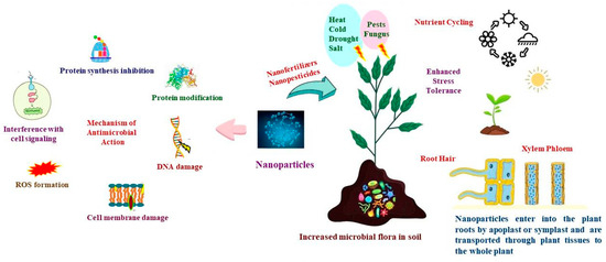 Unlocking the Potential of Nano-Enabled Precision Agriculture for ...