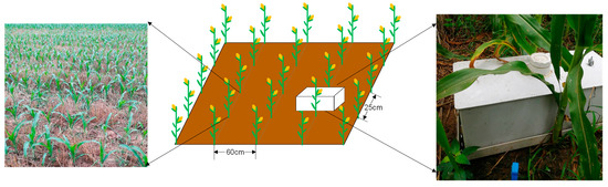 Evaluating Nitrogen Management Practices for Greenhouse Gas Emission ...