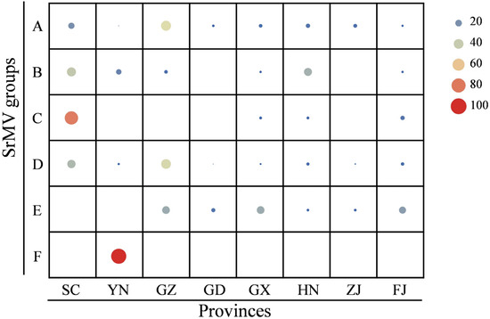 Phylogeny and Genetic Divergence among Sorghum Mosaic Virus Isolates ...