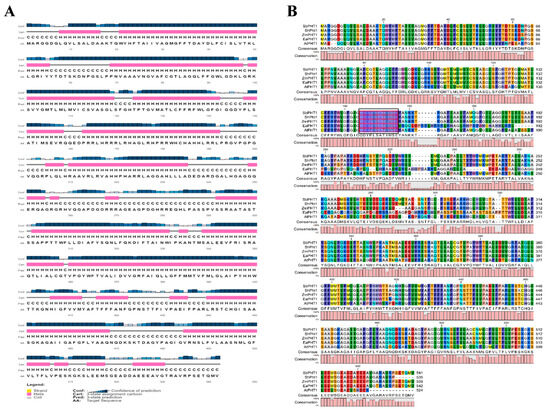 Isolation and Characterization of Erianthus arundinaceus Phosphate ...