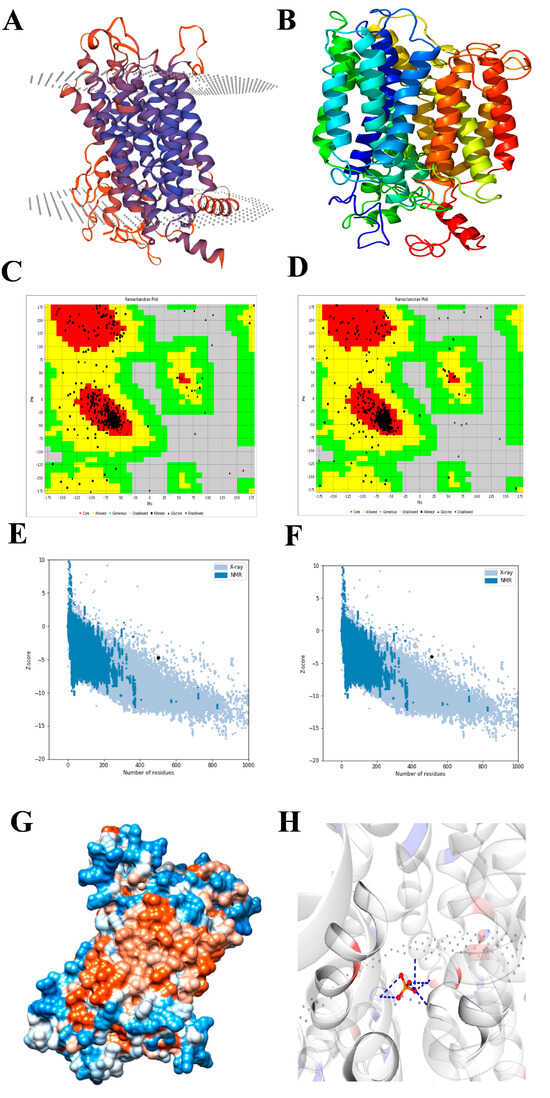 Isolation and Characterization of Erianthus arundinaceus Phosphate ...