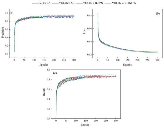 Improvement of the YOLOv5 Model in the Optimization of the Brown Spot Disease Recognition ...