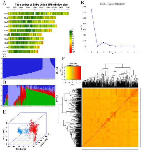 GWAS and Meta-QTL Analysis of Yield-Related Ear Traits in Maize