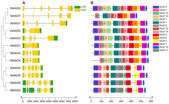 Characterization and Identification of Drought-Responsive ABA-Aldehyde ...