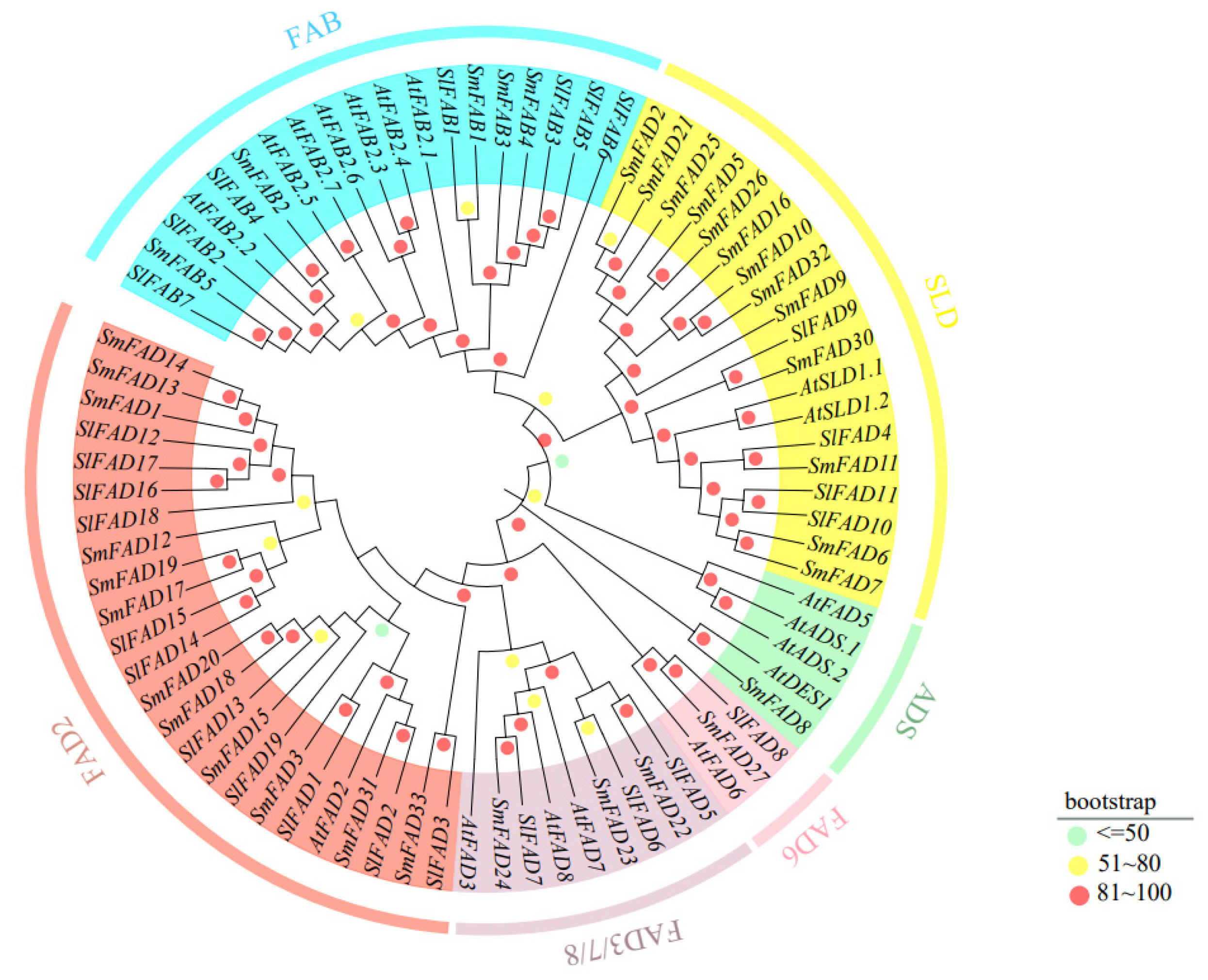 Genome-Wide Characterization of Tomato FAD Gene Family and Expression ...