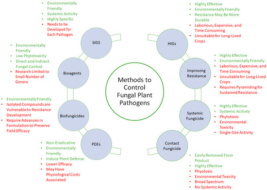 Why Do We Need Alternative Methods for Fungal Disease Management in Plants?