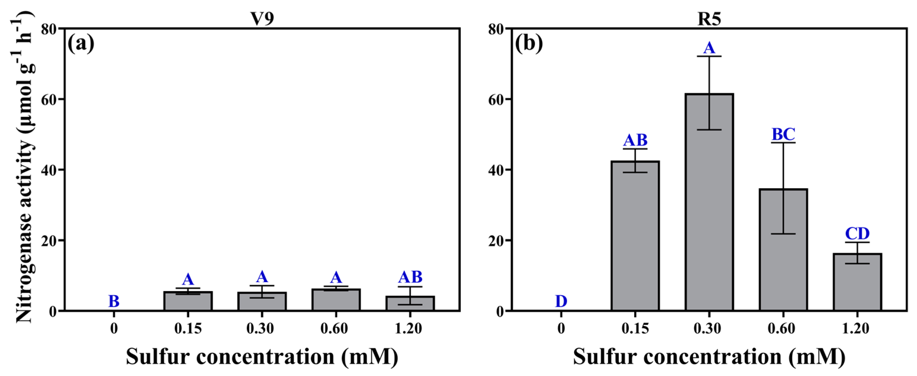 Plants | Free Full-Text | Enhancing Soybean Yield: The Synergy of Sulfur and Rhizobia Inoculation