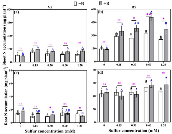 Plants | Free Full-Text | Enhancing Soybean Yield: The Synergy of Sulfur and Rhizobia Inoculation