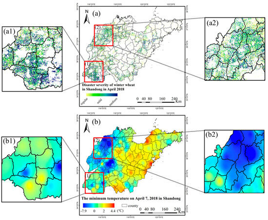 Monitoring and Mapping Winter Wheat Spring Frost Damage with MODIS Data and Statistical Data