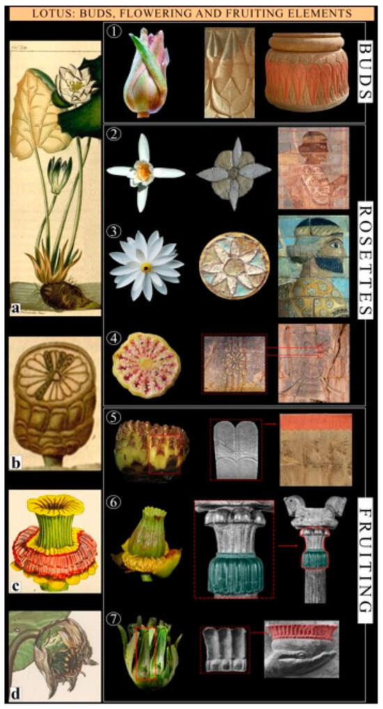 Plants as Symbols of Power in the Achaemenid Iconography of Ancient ...