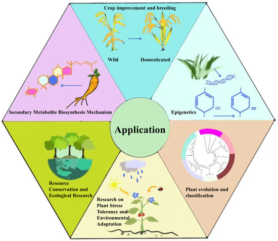 The Development of Plant Genome Sequencing Technology and Its ...