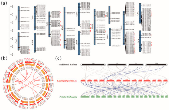 Characterization of the F-Box Gene Family and Its Expression under ...