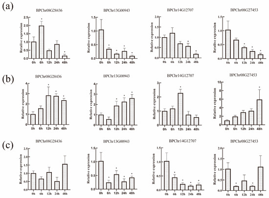 Characterization of the F-Box Gene Family and Its Expression under ...