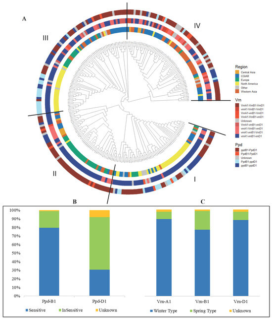 Genetic Diversity and Genome-Wide Association Study for the Phenology ...