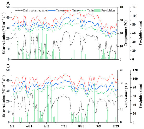 Plants | Free Full-Text | Delayed Leaf Senescence Improves Radiation ...