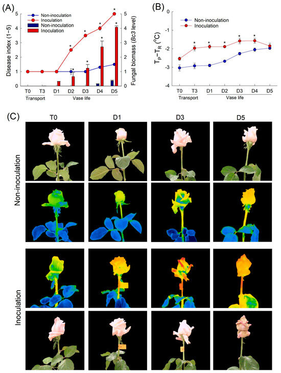 Early Detection of Botrytis cinerea Infection in Cut Roses Using ...