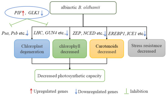 Comparative Physiology and Transcriptome Analysis Provides Insights ...