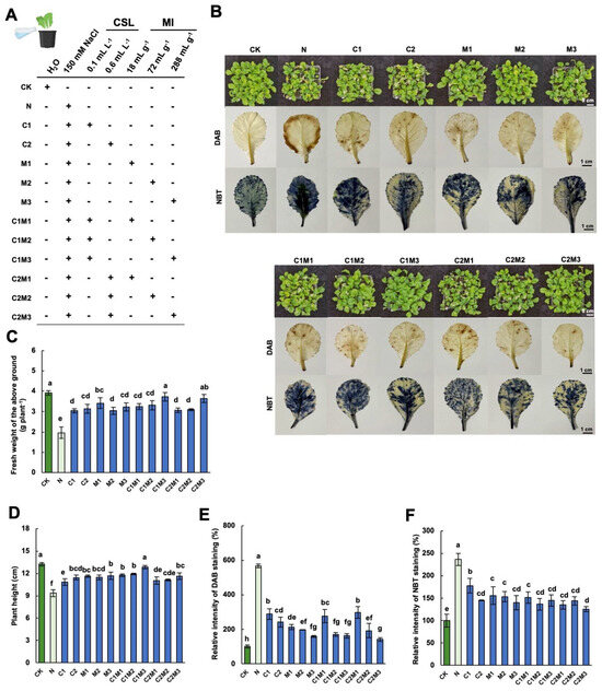 Combined Application of Myo-Inositol and Corn Steep Liquor from ...