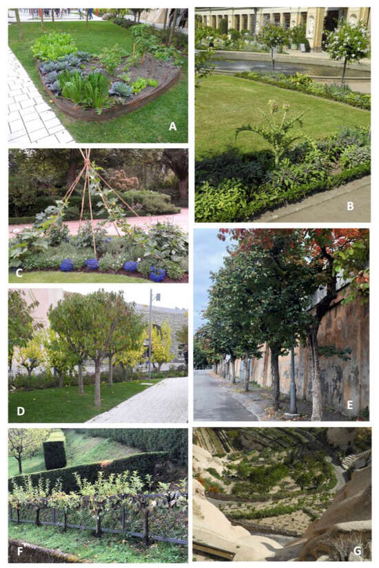 Agrobiodiversity-Based Landscape Design in Urban Areas