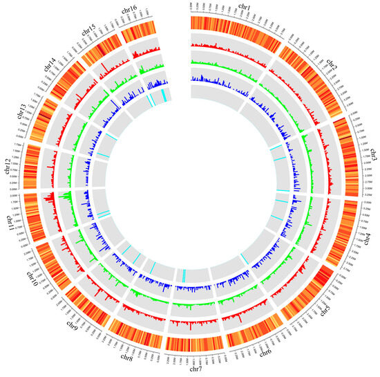 Occurrence and Characterization of Sclerotinia sclerotiorum Causing Fruit Rot on Sweet Cherry in ...