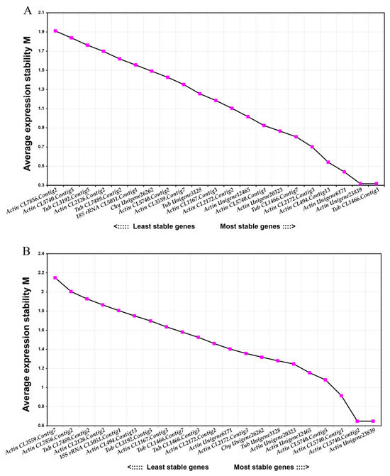 Transcriptome-Based Identification of the Optimal Reference Genes for Quantitative Real-Time ...