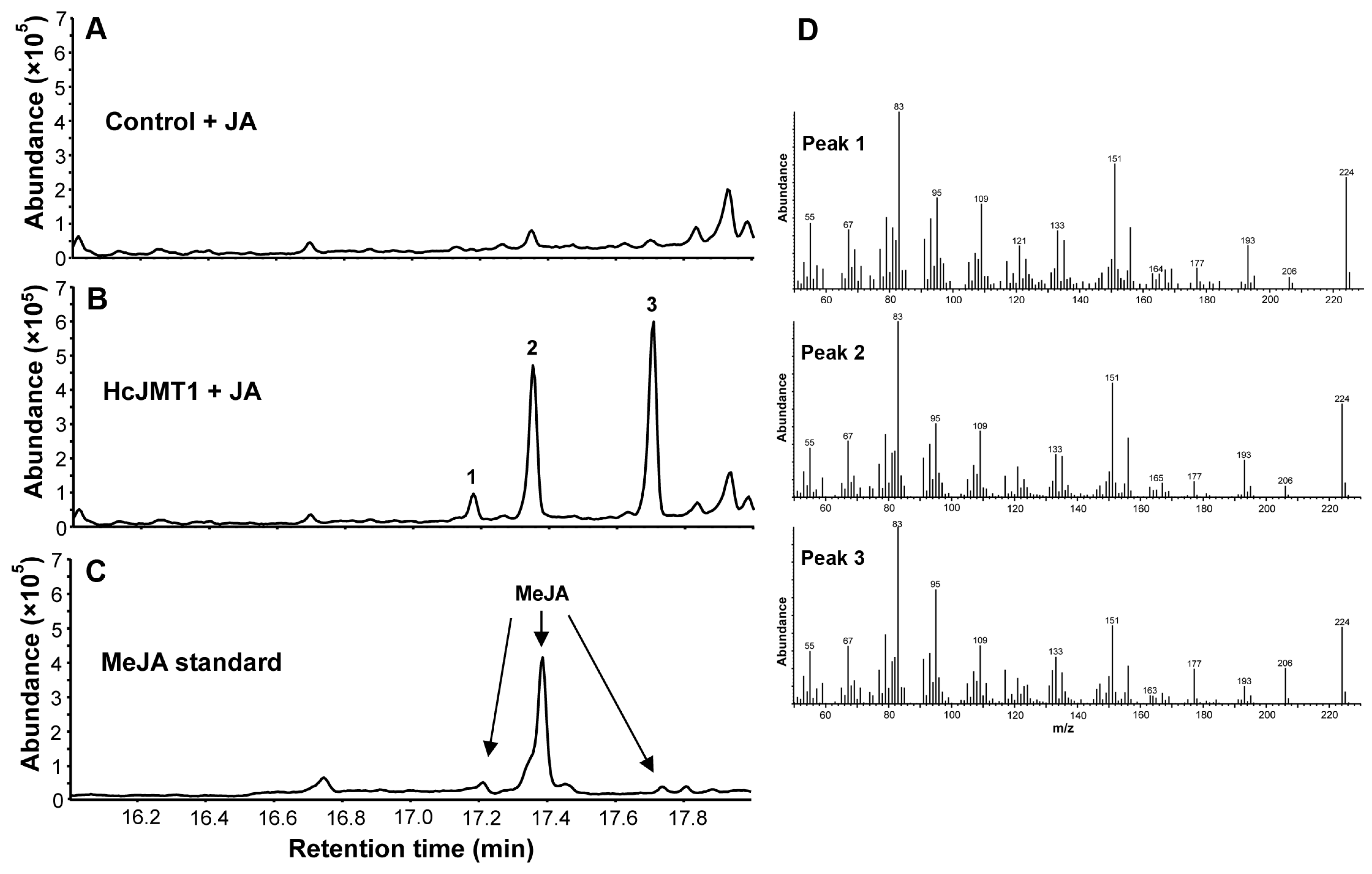 Identification and Characterization of Jasmonic Acid Methyltransferase ...