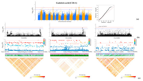 Identification of Quantitative Trait Nucleotides and Development of ...