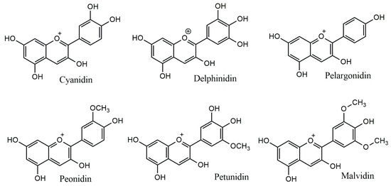 Anthocyanin Production from Plant Cell and Organ Cultures In Vitro