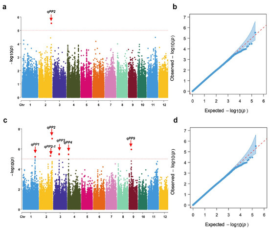 Rice Seed Protrusion Quantitative Trait Loci Mapping through Genome ...