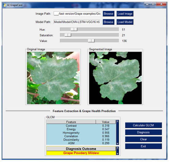 Plants | Free Full-Text | Rapid Grapevine Health Diagnosis Based on ...