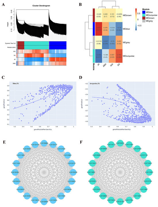 Integrated Transcriptomics and Metabolomics Analysis Promotes the ...