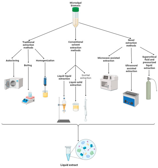 A Comprehensive Review of Microalgae and Cyanobacteria-Based Biostimulants for Agriculture Uses