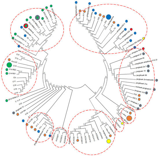 Genome-Wide Association Study for Agronomic Traits in Gamma-Ray-Derived ...