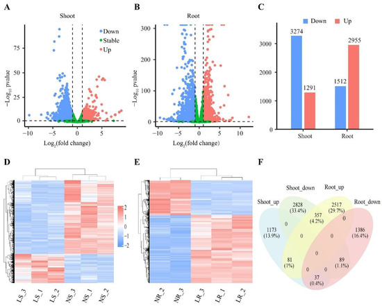 Transcriptome Profiling Reveals the Gene Network Responding to Low Nitrogen Stress in Wheat