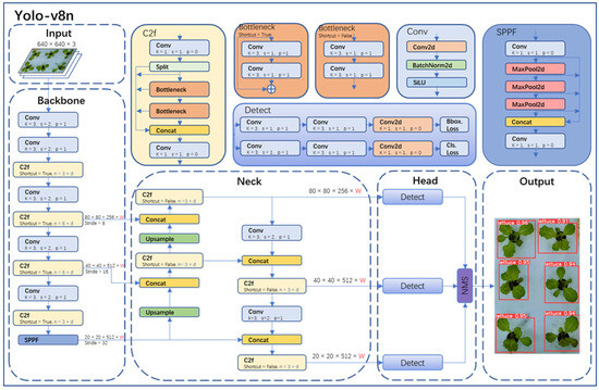 Identifying the Growth Status of Hydroponic Lettuce Based on YOLO ...