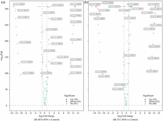 Defense Regulatory Network Associated with circRNA in Rice in Response ...