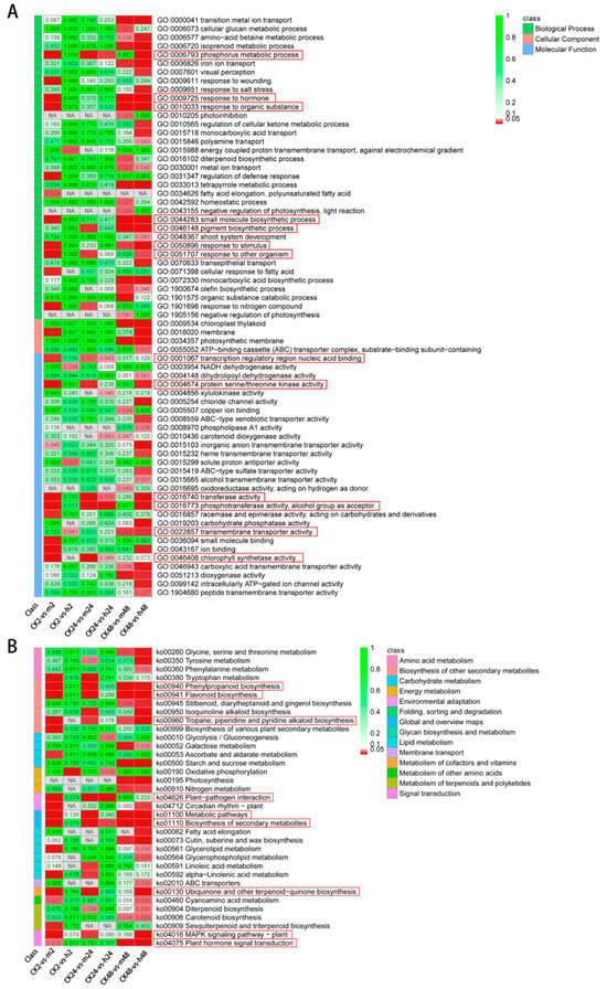 Integration of Physiological, Transcriptomic, and Metabolomic Analyses Reveal Molecular ...