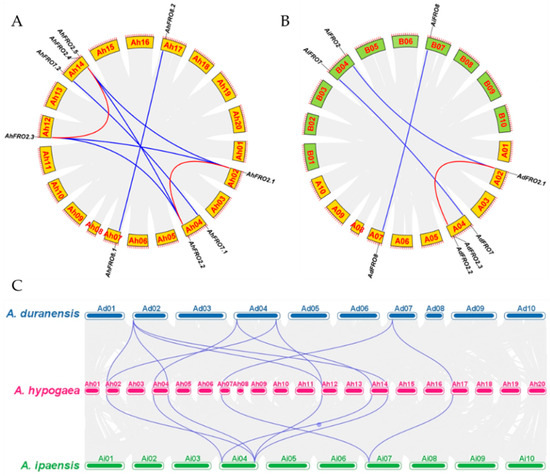 Genome-Wide Identification of the Ferric Chelate Reductase (FRO) Gene ...