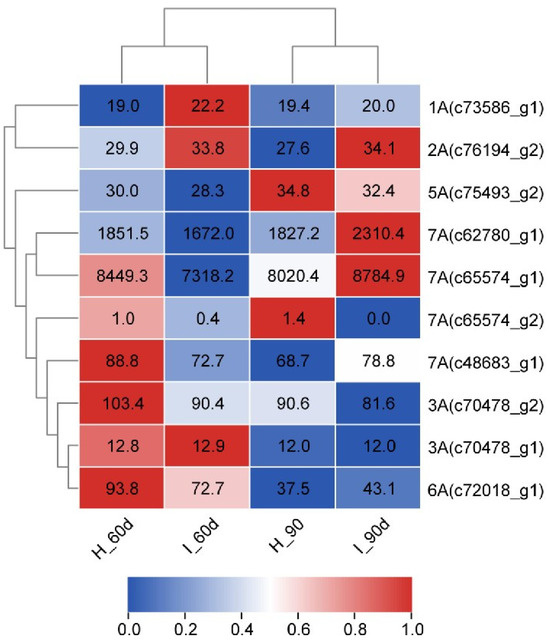 Screening of Sugarcane Proteins Associated with Defense against ...
