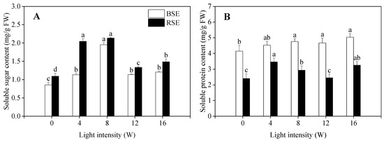 Effect of UV-A Irradiation on Bioactive Compounds Accumulation and ...