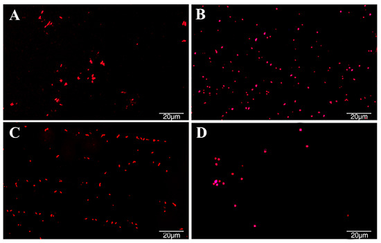 Antibacterial Activity and Mechanism of Three Root Exudates from ...