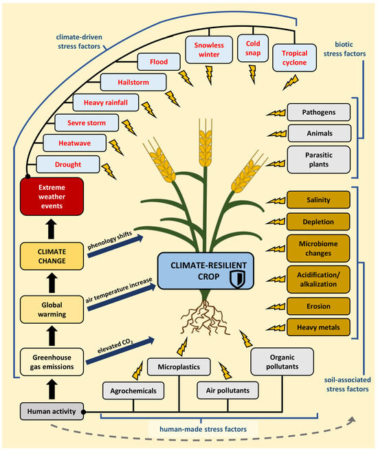 Plants | Free Full-Text | Climate Change—The Rise of Climate-Resilient ...