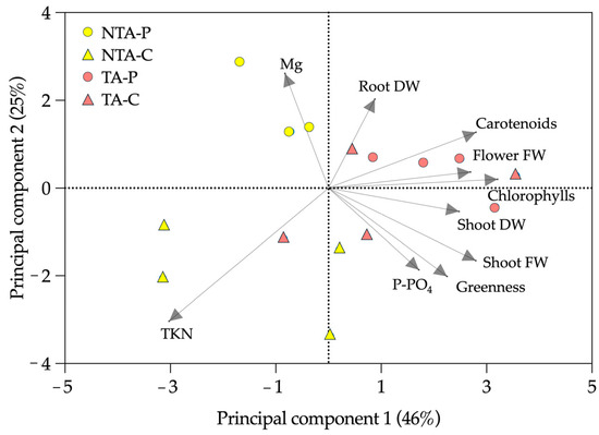 Trichoderma atroviride Enhances Impatiens walleriana Hook. f Growth and Flowering in Different ...