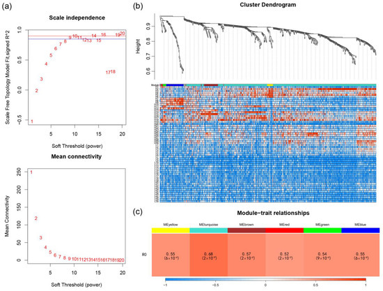 Transcriptome-Wide Identification and Integrated Analysis of a UGT Gene ...